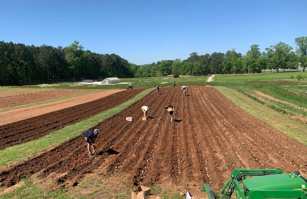 About - Camp Southern Ground