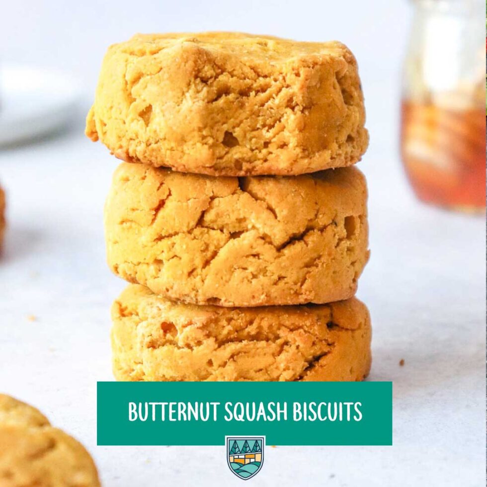 Butternut Squash Biscuits - Camp Southern Ground